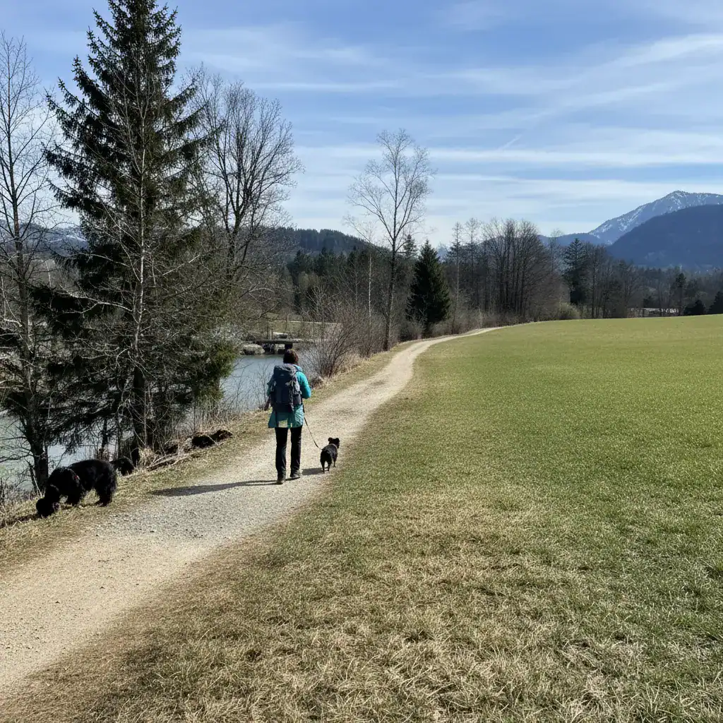 Hiking Around Munich: Scenic Spring Tours and Important Safety Tips ...
